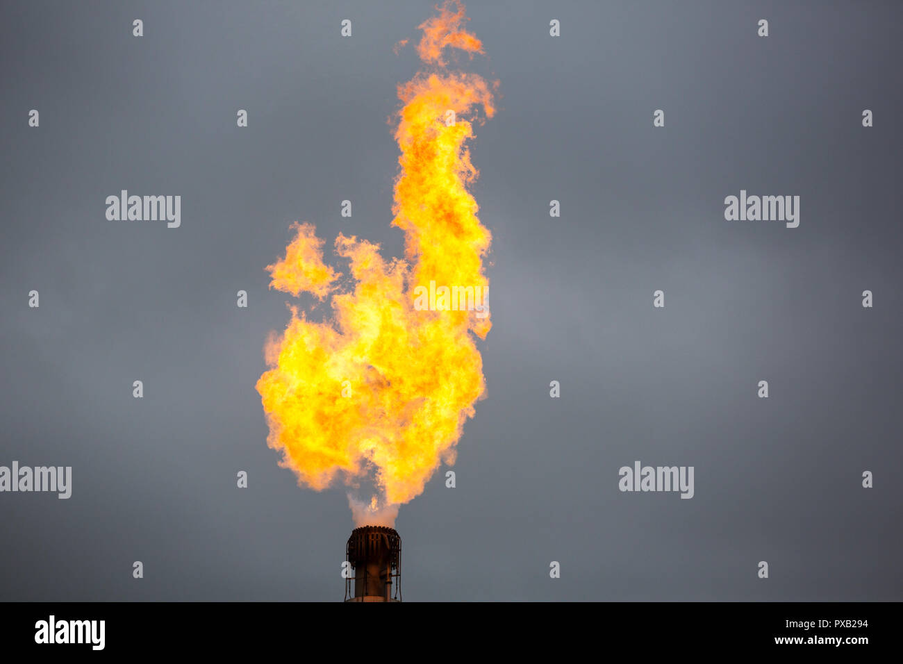 The utter waste of flaring off gas at the Grangemouth oil refinery ...