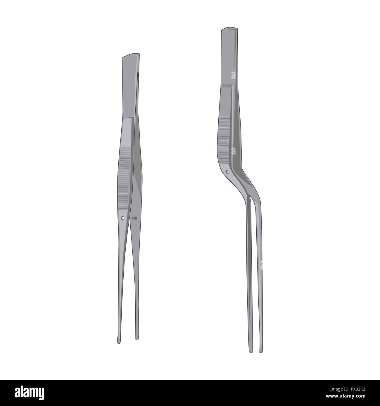 Surgical forceps isolated on white background. Pair of tweezers ...