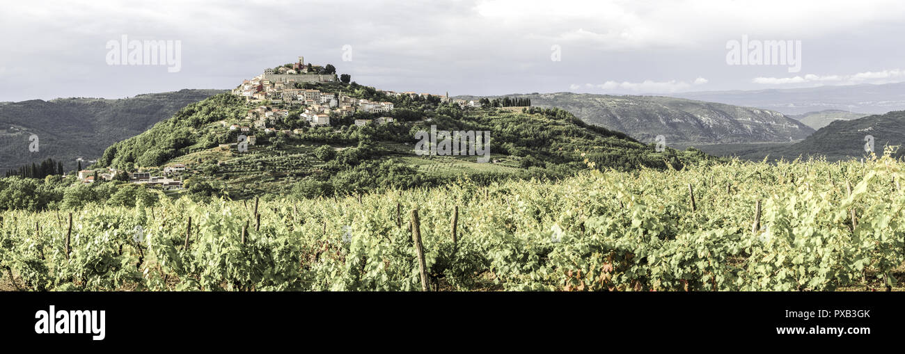 Istria, Croatia, landscape, Motovun Stock Photo - Alamy