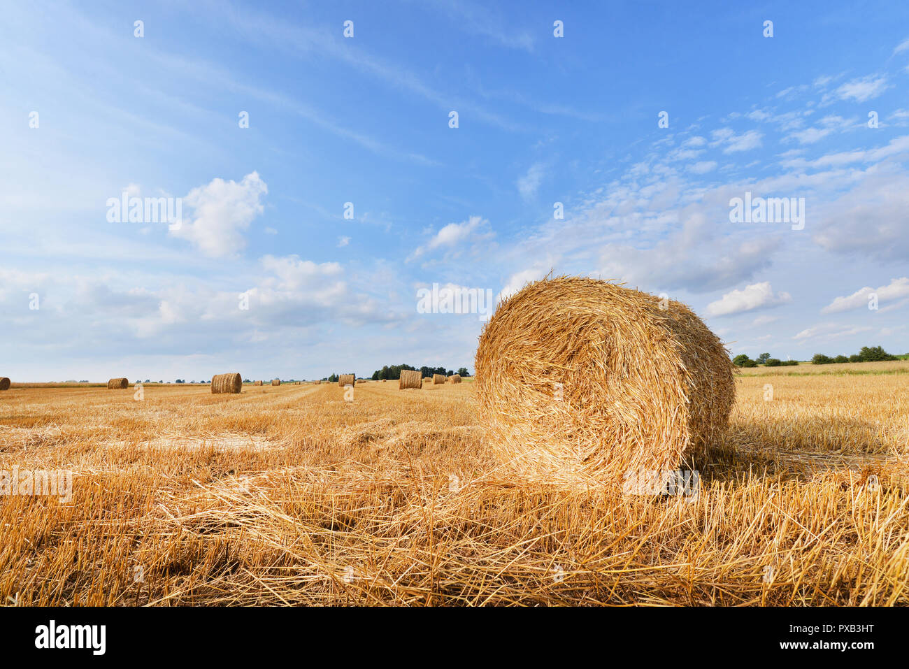 Straw bales on farmland with blue cloudy sky Stock Photo - Alamy