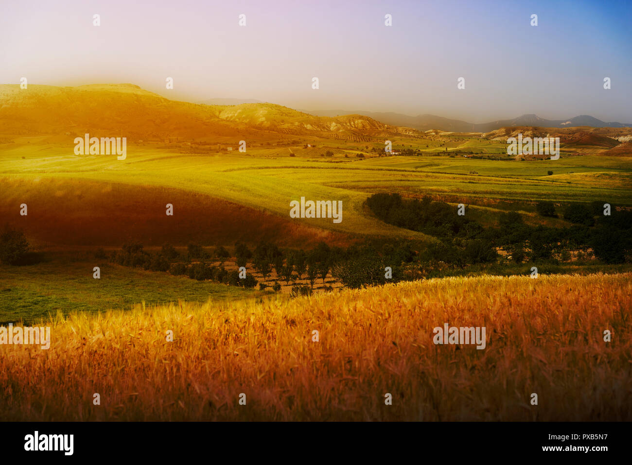 Grain landscape hi-res stock photography and images - Alamy