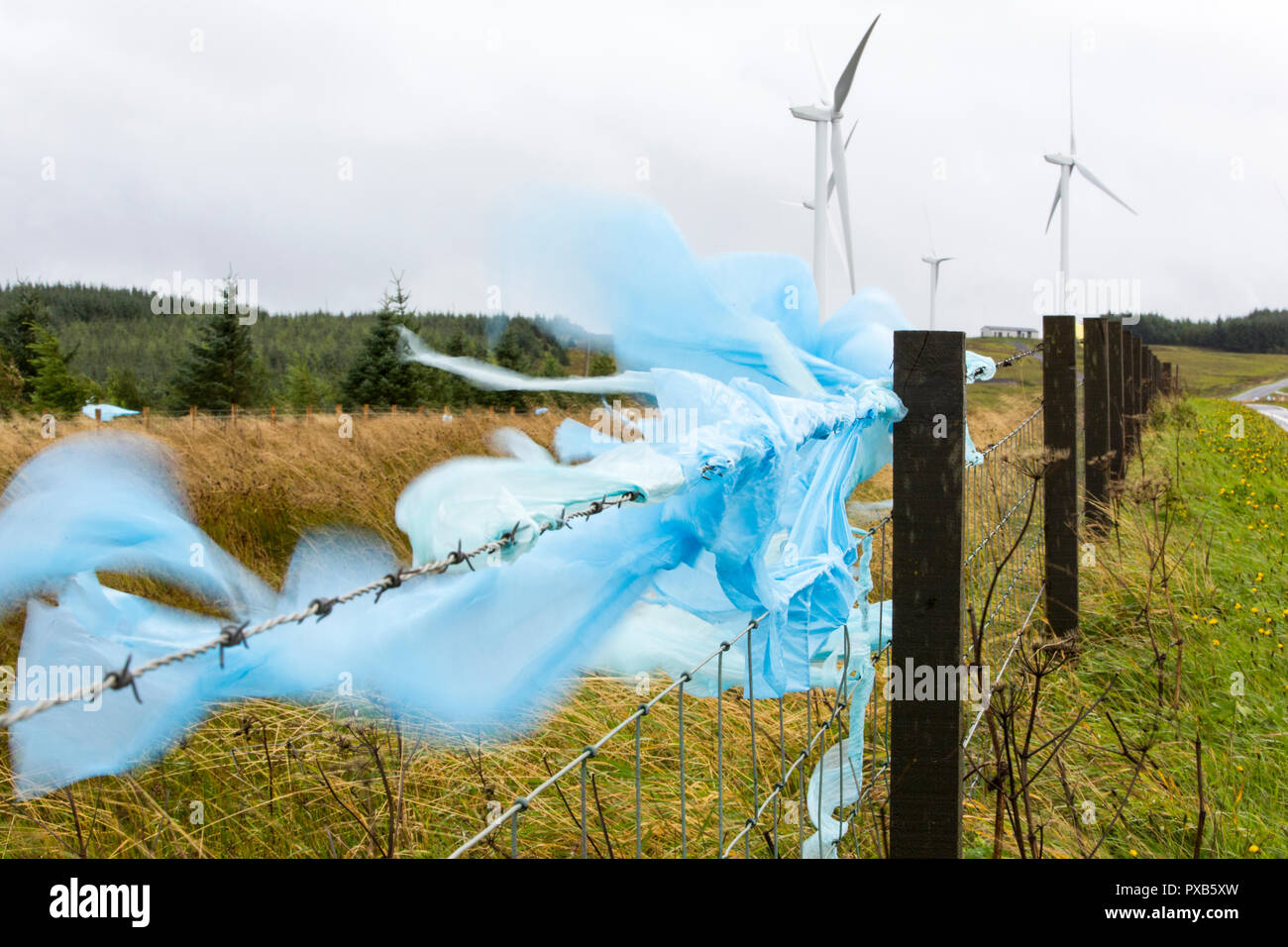 Plastic caught on a barbed wire fence near Fauldhouse, West Lothian ...