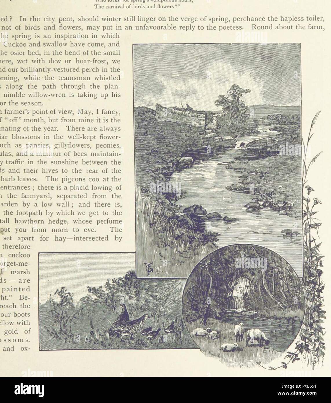 page 153 of 'Sunlight and Shade. Being poems and pictures of life and ...