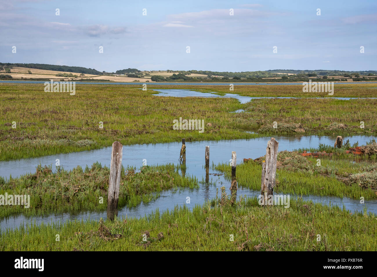 Newtown isle of wight bird hi-res stock photography and images - Alamy