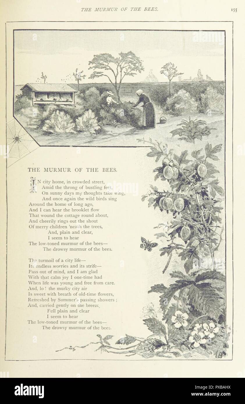 page 159 of 'Sunlight and Shade. Being poems and pictures of life and ...