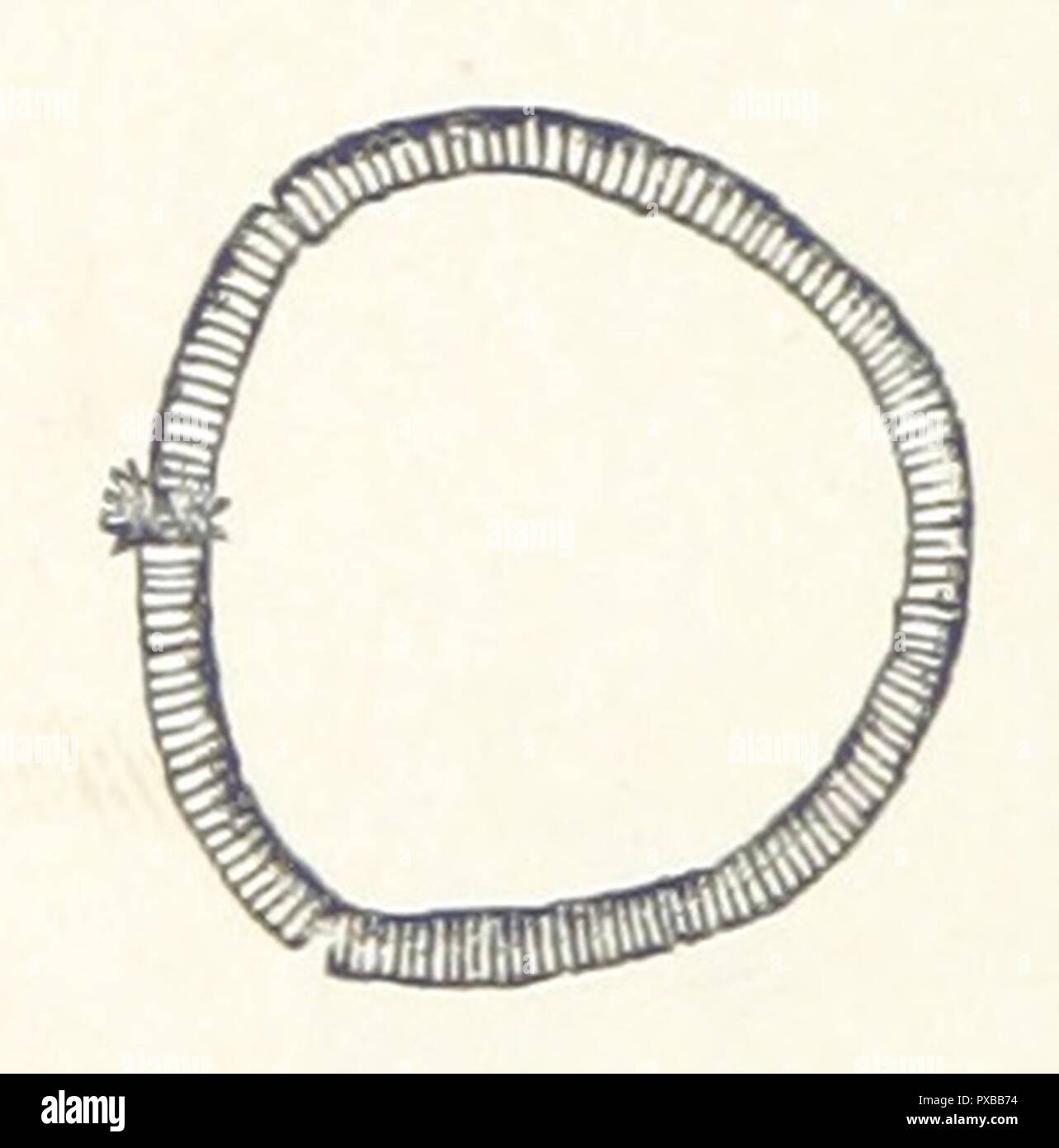 page 168 of 'The Victoria Nyanza the land, the races and their customs ...