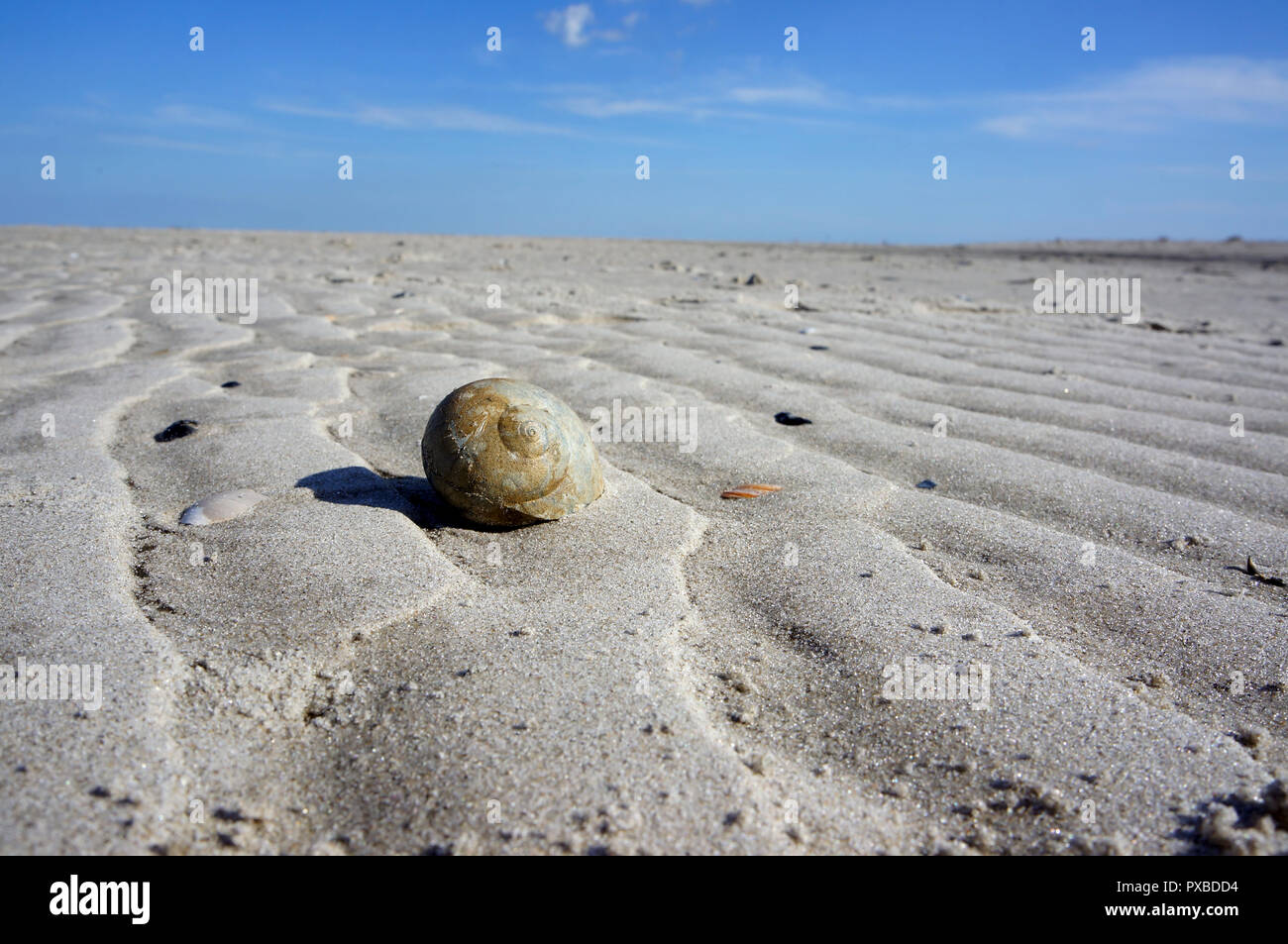 Ugly View High Resolution Stock Photography and Images - Alamy