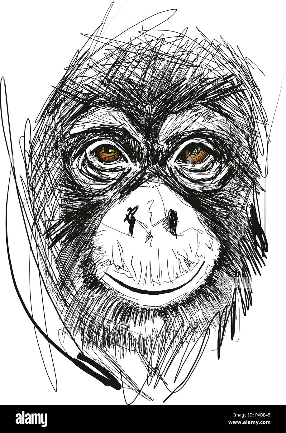 Monkey Face Drawing