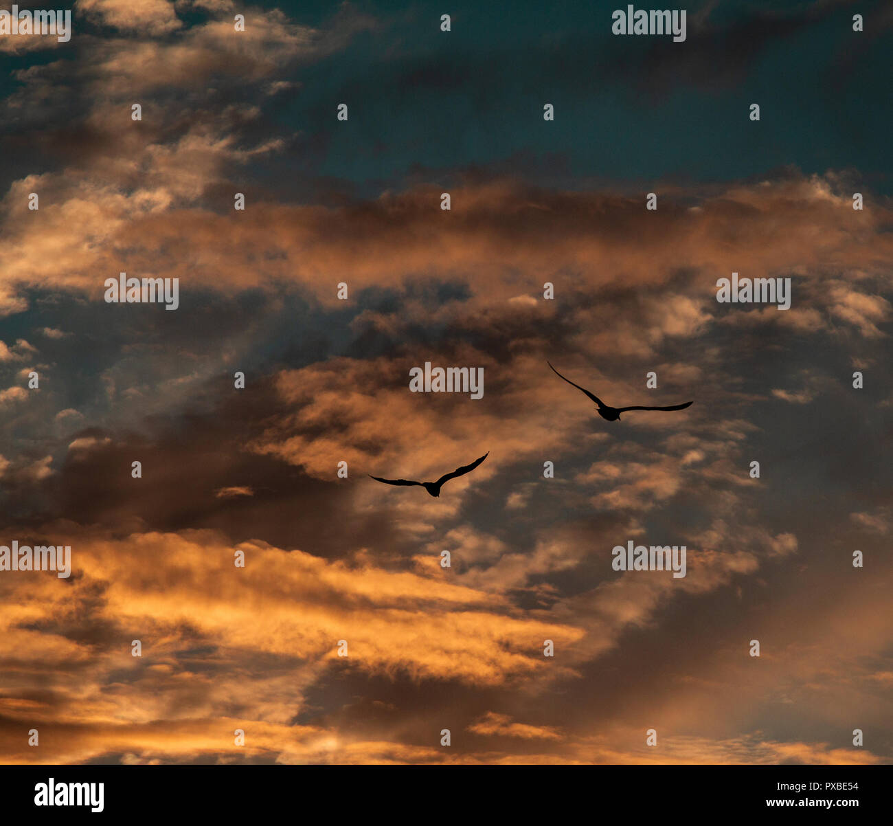 Gold clouds hi-res stock photography and images - Alamy