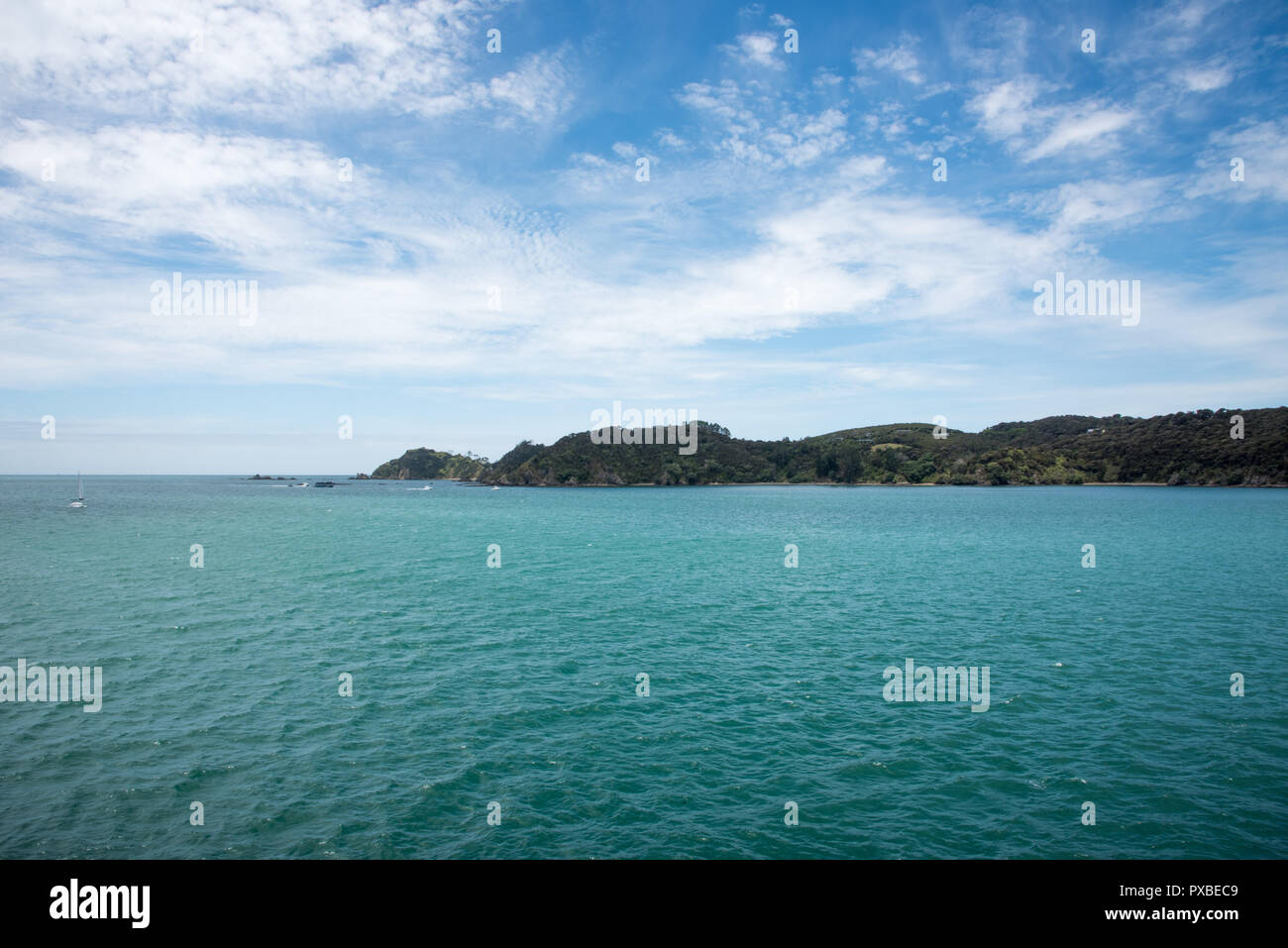 Stunning green, natural landscape with the Tasman Sea in remote Bay of ...
