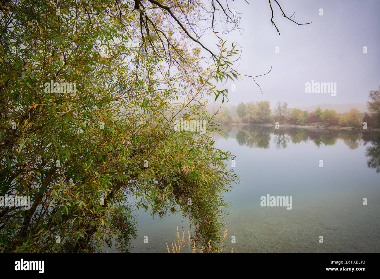 The Colours Of The Autumn Fall 2018 Germany Stock Photo - Alamy