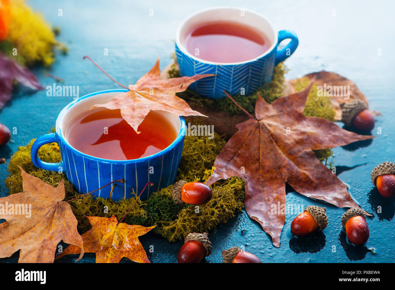 Autumn drink photography with hot tea in blue ceramic cups and fallen ...