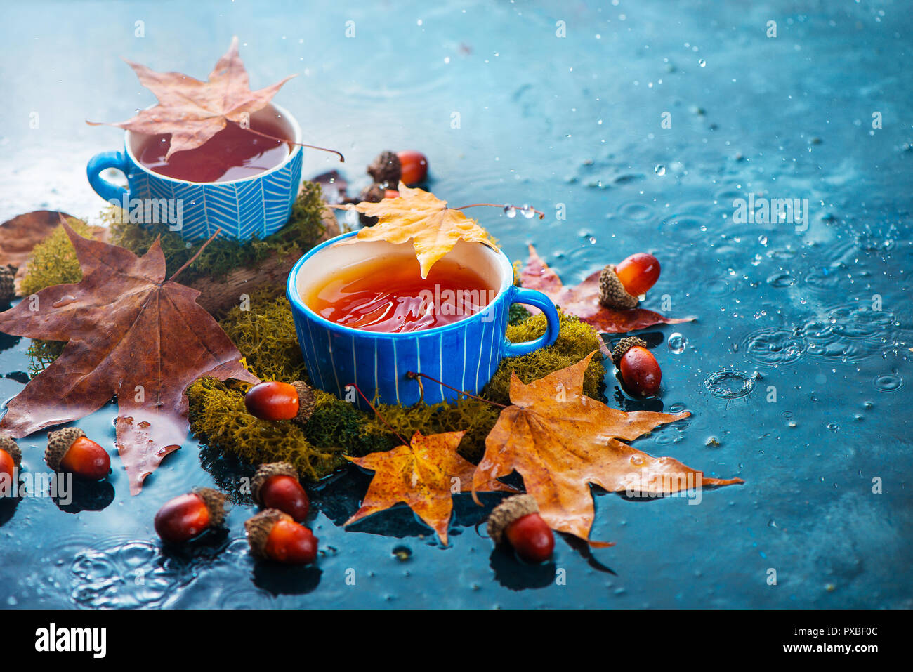 Autumn drink photography with hot tea in blue ceramic cups and fallen ...