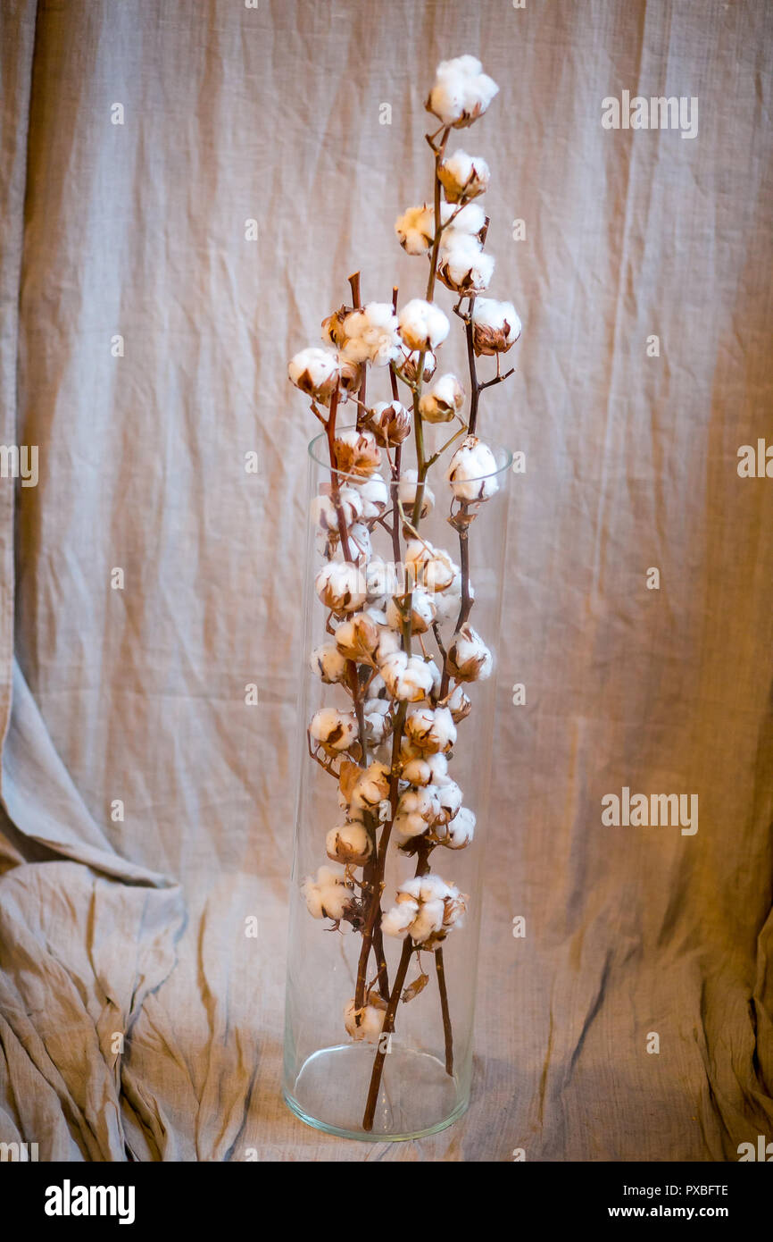 Cotton twigs in a vase on a linen fabric background. vertical shoot ...