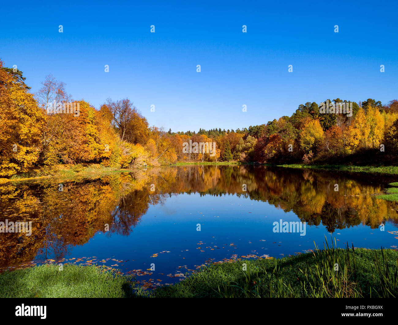 Autumn tree reflection on lake hi-res stock photography and images - Alamy