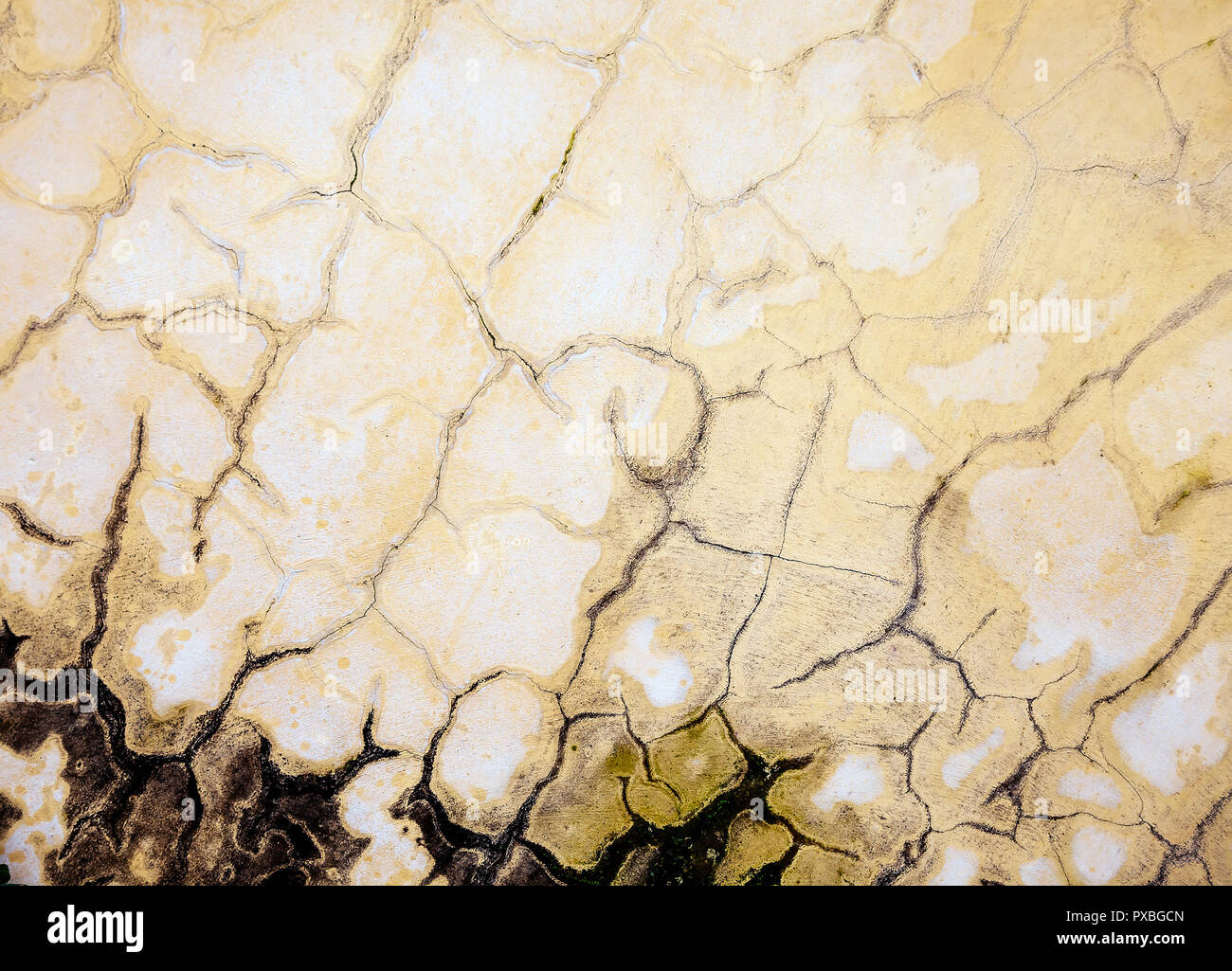 Cracks on a moldy wall for texture or background Stock Photo - Alamy