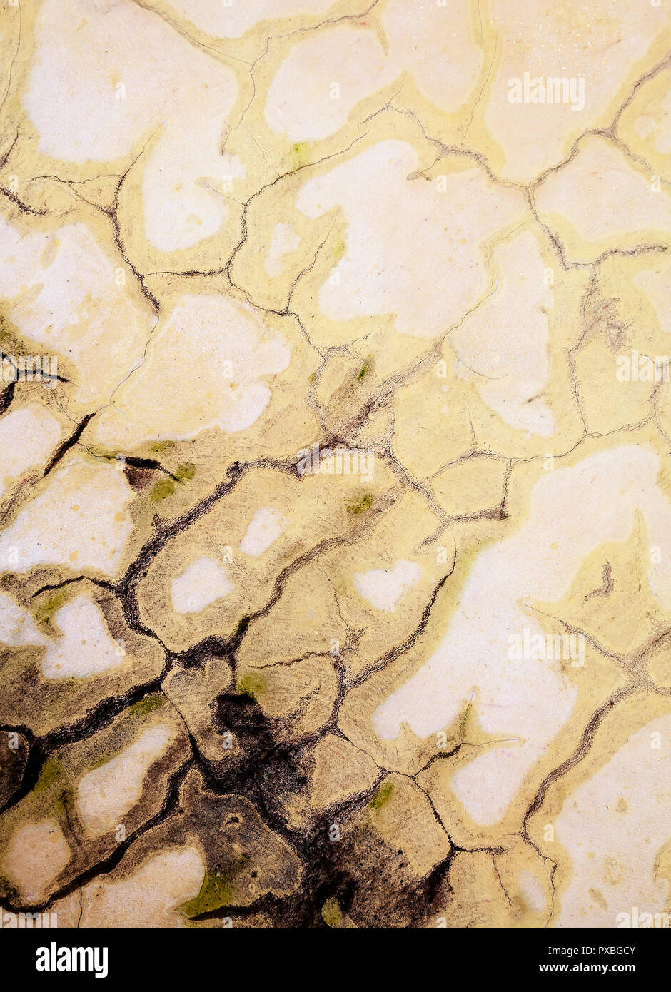 Cracks on a moldy wall for texture or background Stock Photo - Alamy