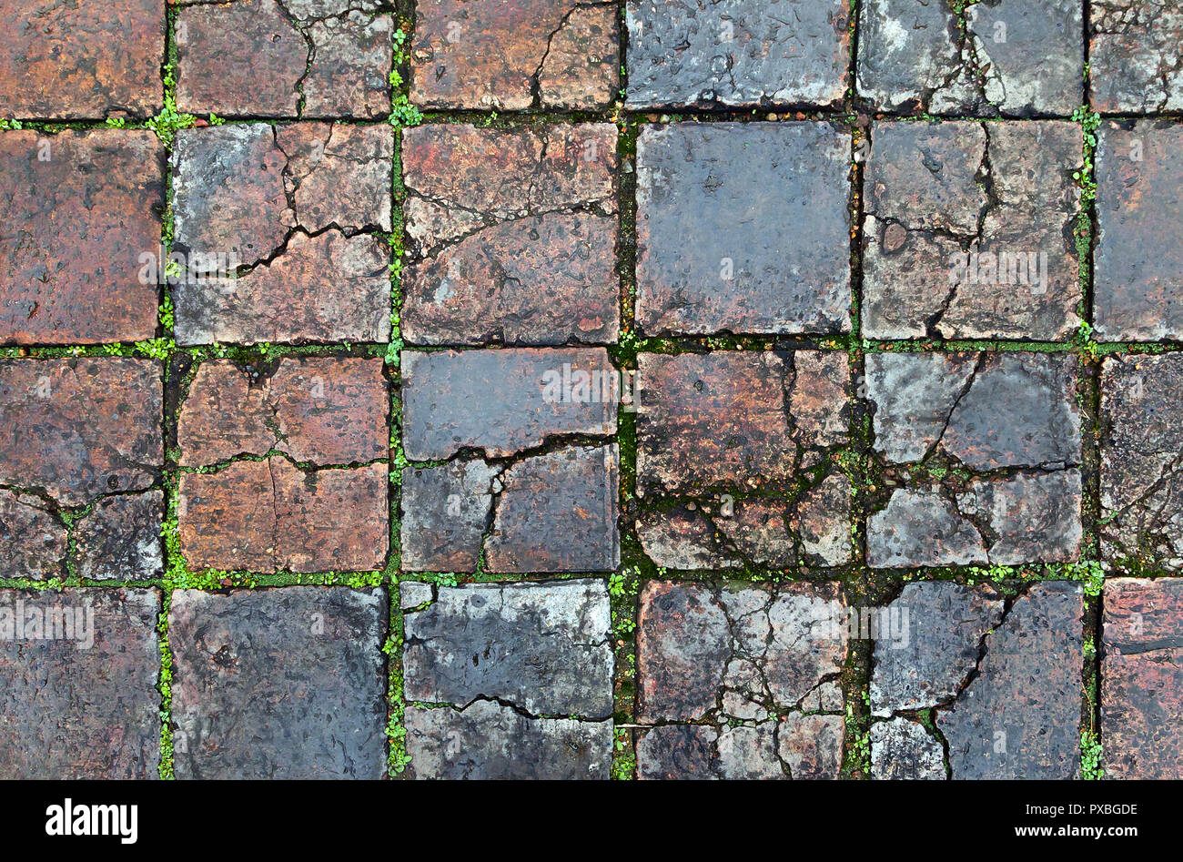 Old stone pavement in Imperial City of Hue, Vietnam Stock Photo - Alamy