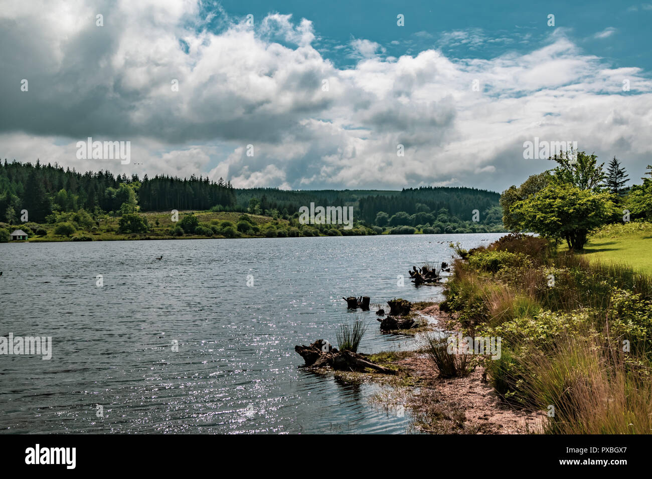 The lake caused by Fernworth Dam in Dartmoor National Park, Devon ...