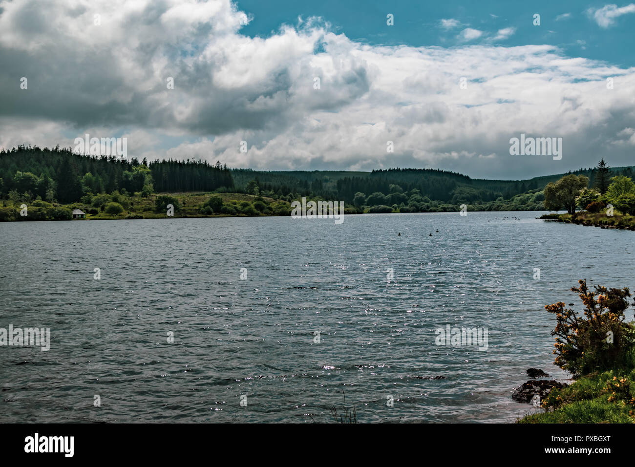 The lake caused by Fernworth Dam in Dartmoor National Park, Devon ...