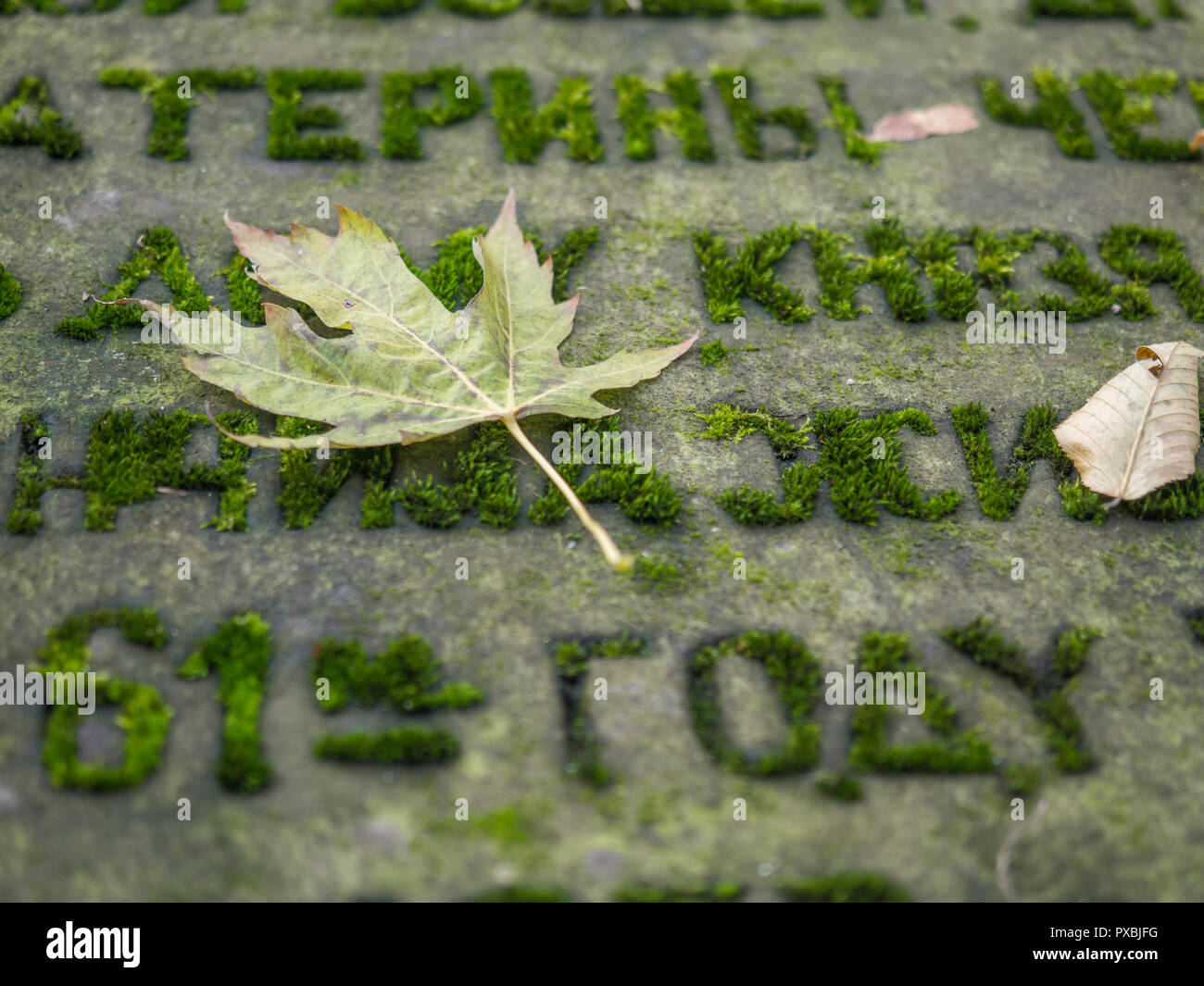 Tomb greek letters hi-res stock photography and images - Alamy