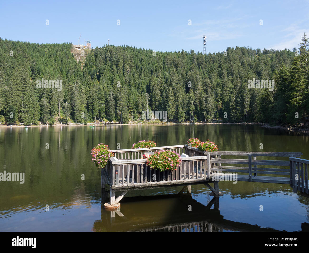lake in the black forest Stock Photo - Alamy