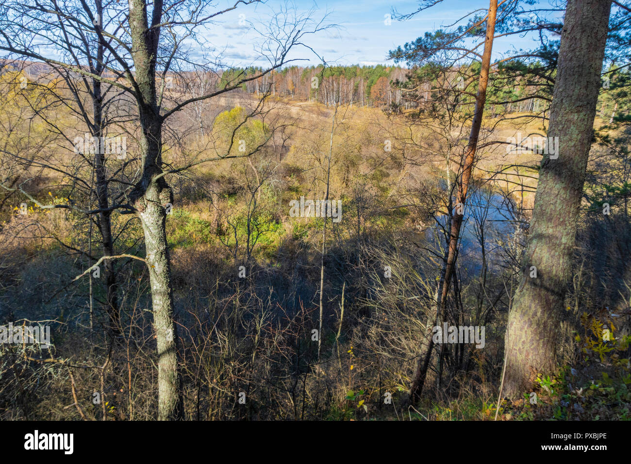 Ugra national park hi-res stock photography and images - Alamy