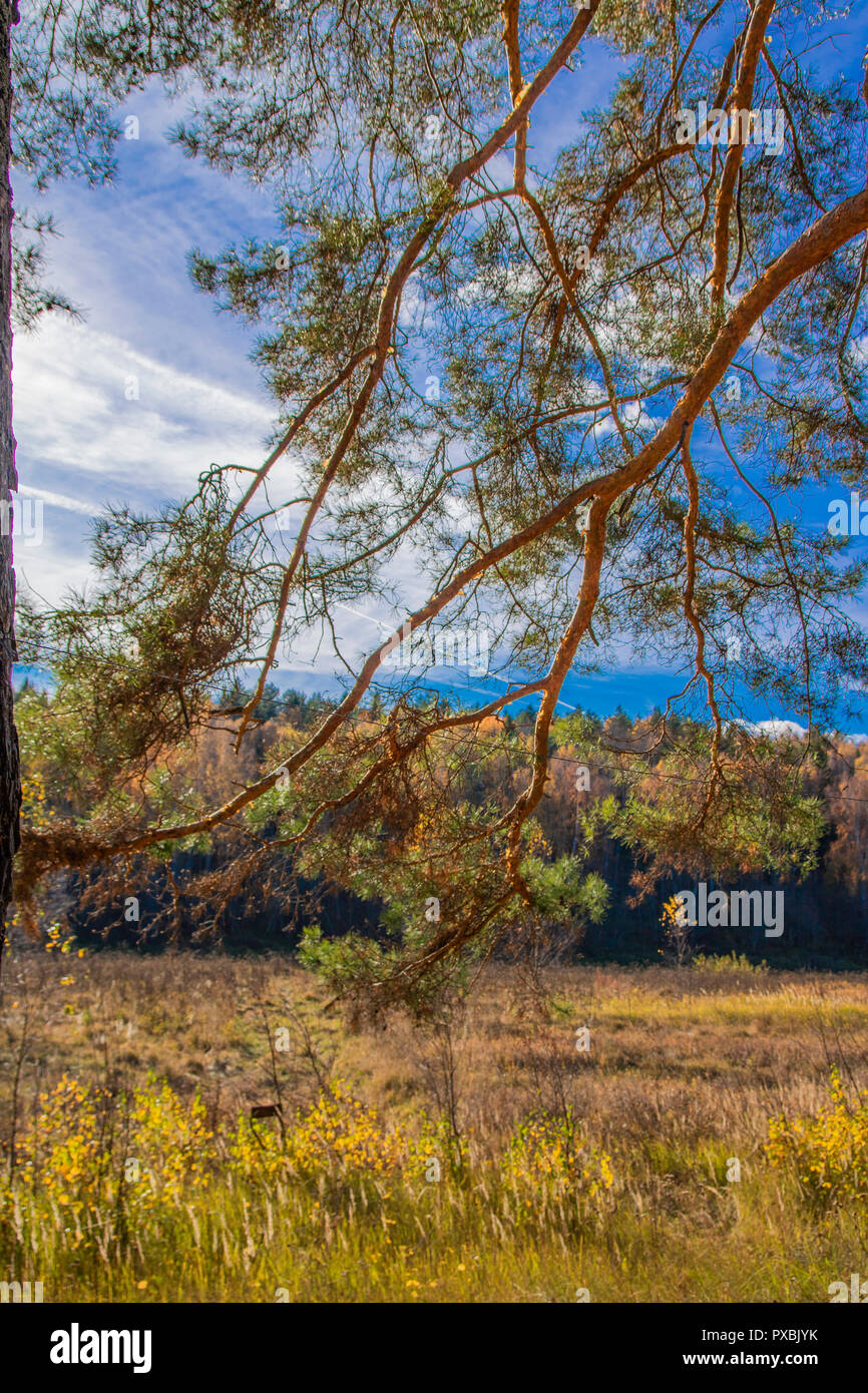 Ugra national park hi-res stock photography and images - Alamy