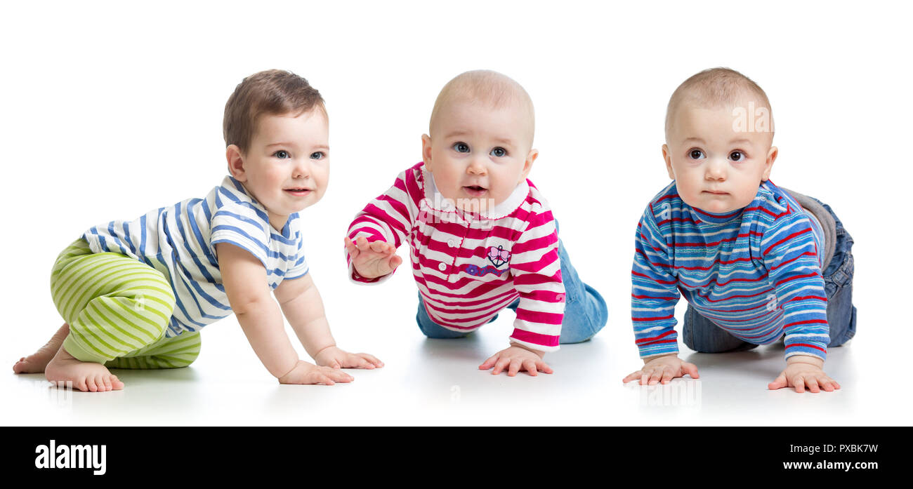 Group of cute babies crawling on floor. Isolated on white Stock Photo ...