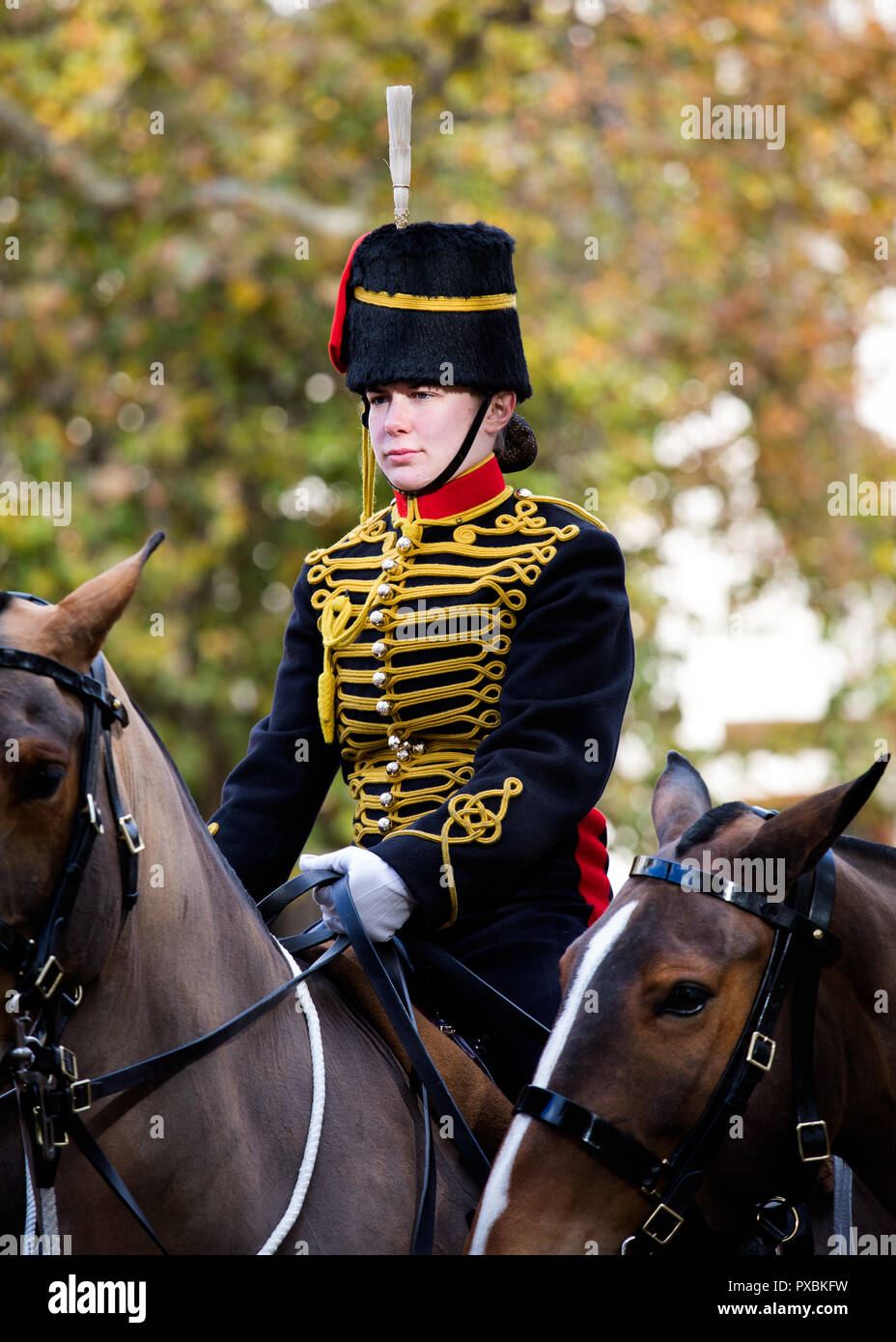Female member of King's Troop, Royal Horse Artillery, Remembrance Day ...