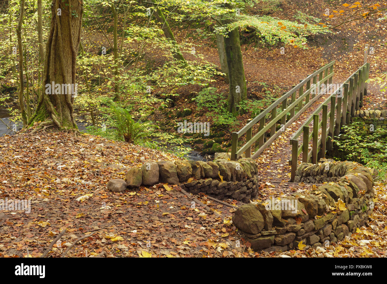 Eller beck bridge hi-res stock photography and images - Alamy