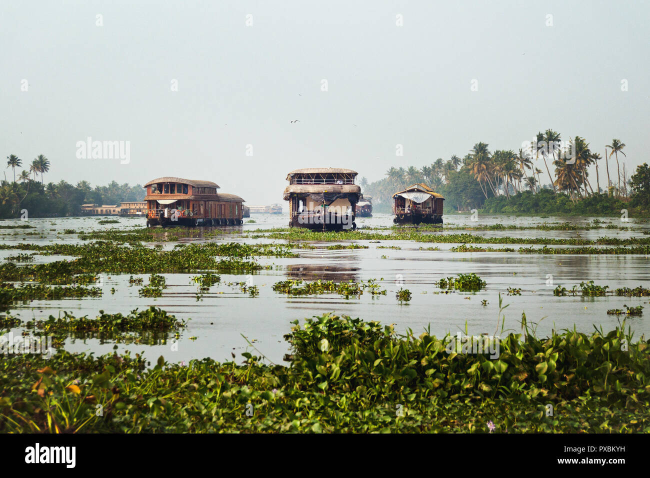 Backwaters, Kerala, India Stock Photo - Alamy