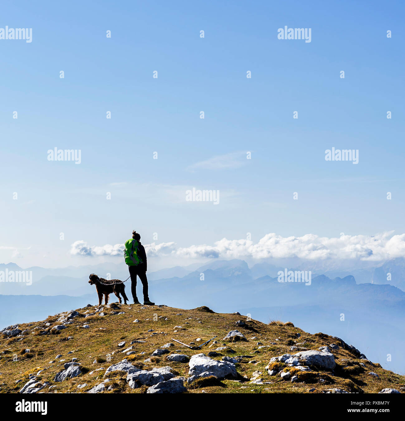 Stol a eu hi-res stock photography and images - Alamy