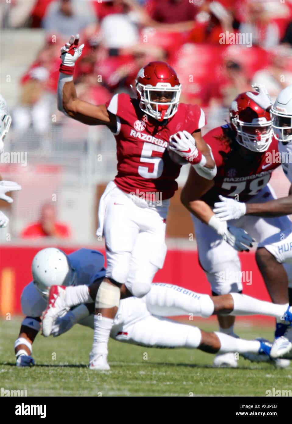 Razorback stadium hi-res stock photography and images - Alamy