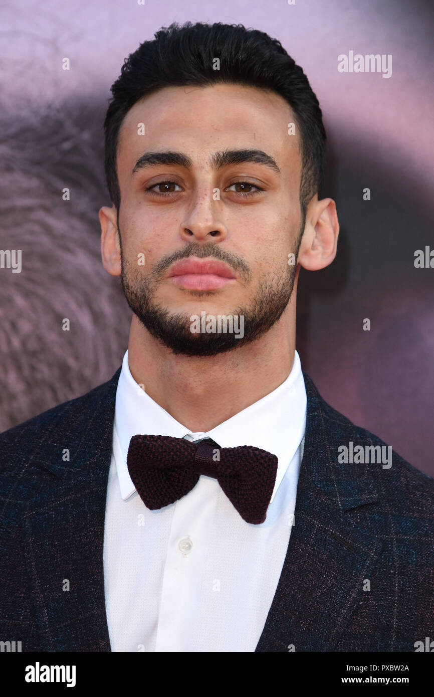 Elsayed hi-res stock photography and images - Alamy