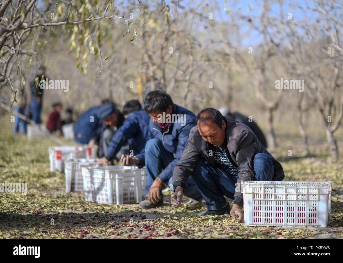 Qiemo, China's Xinjiang Uygur Autonomous Region. 20th Oct, 2018 ...