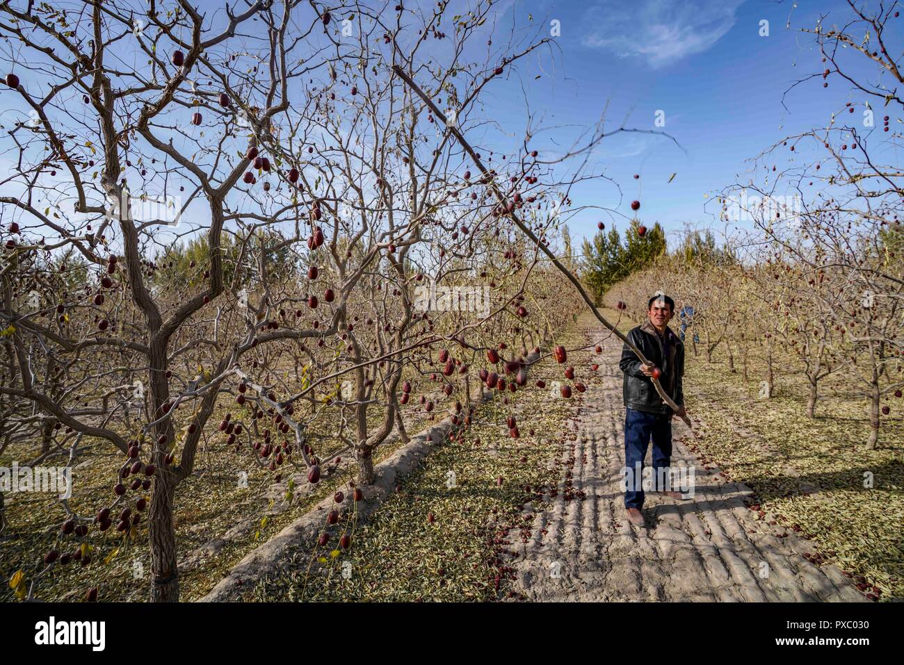 Qiemo, China's Xinjiang Uygur Autonomous Region. 20th Oct, 2018. A ...