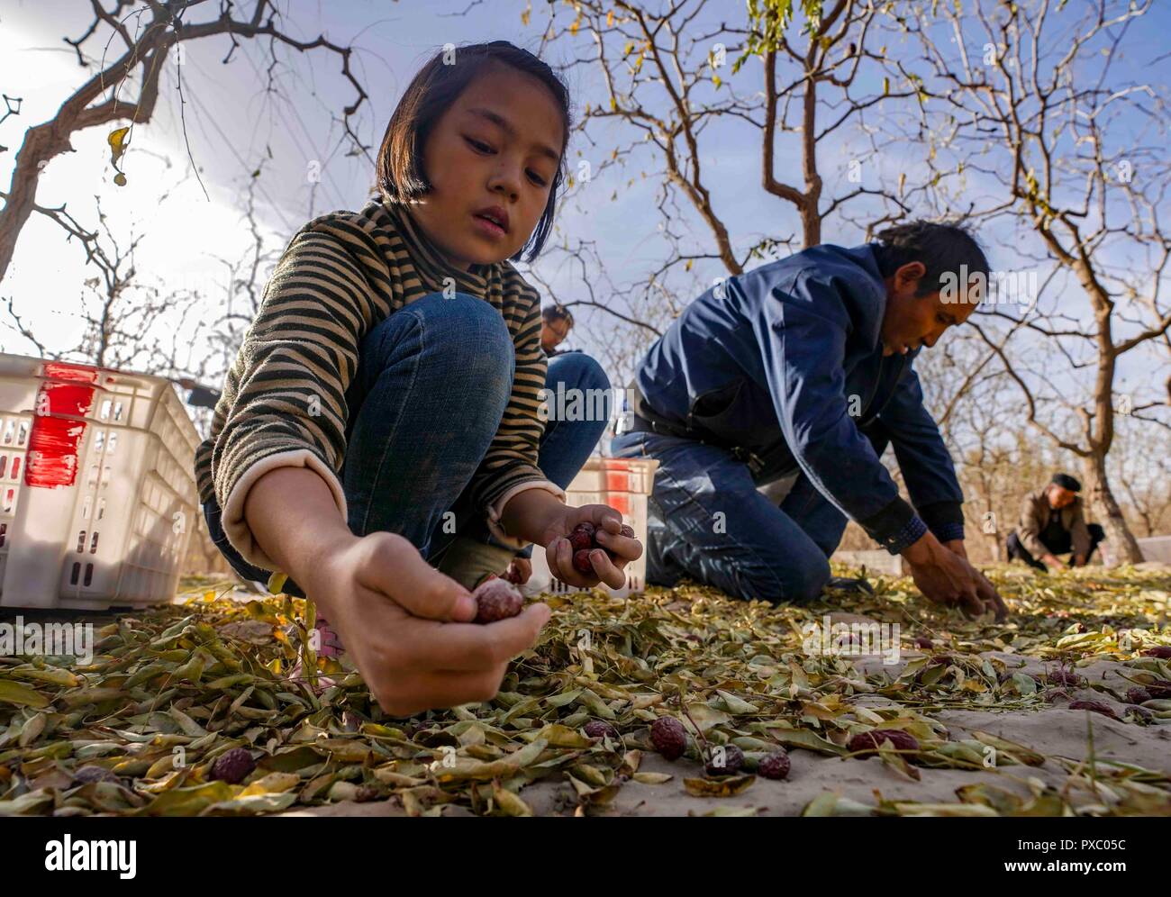 Qiemo, China's Xinjiang Uygur Autonomous Region. 20th Oct, 2018. People ...