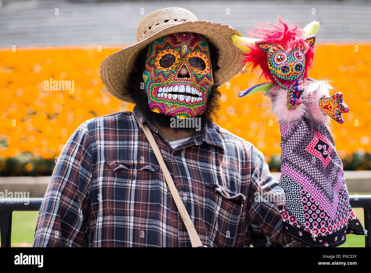 Alejibre hi-res stock photography and images - Alamy