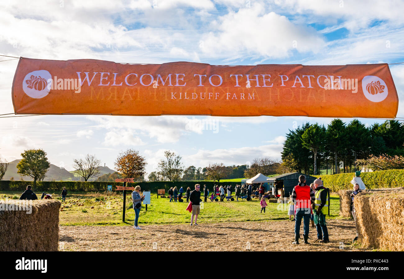 Pick your own pumpkin sign hi-res stock photography and images - Alamy