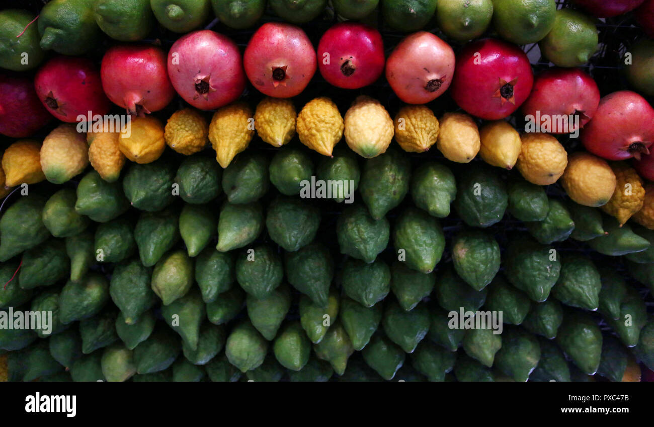 Sukkah desert hi-res stock photography and images - Alamy