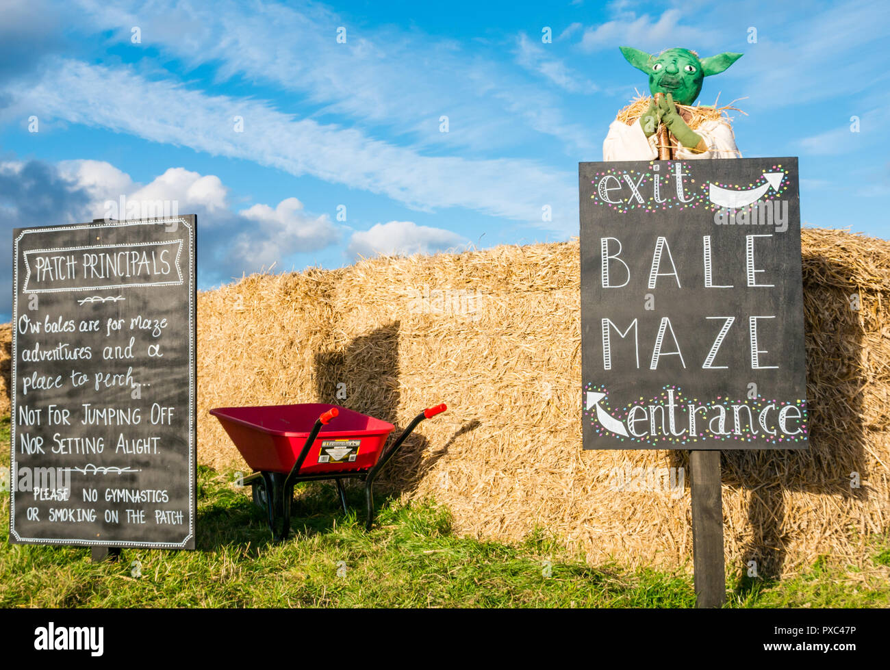 Kilduff Farm, East Lothian, Scotland, United Kingdom, 21st October 2018 ...