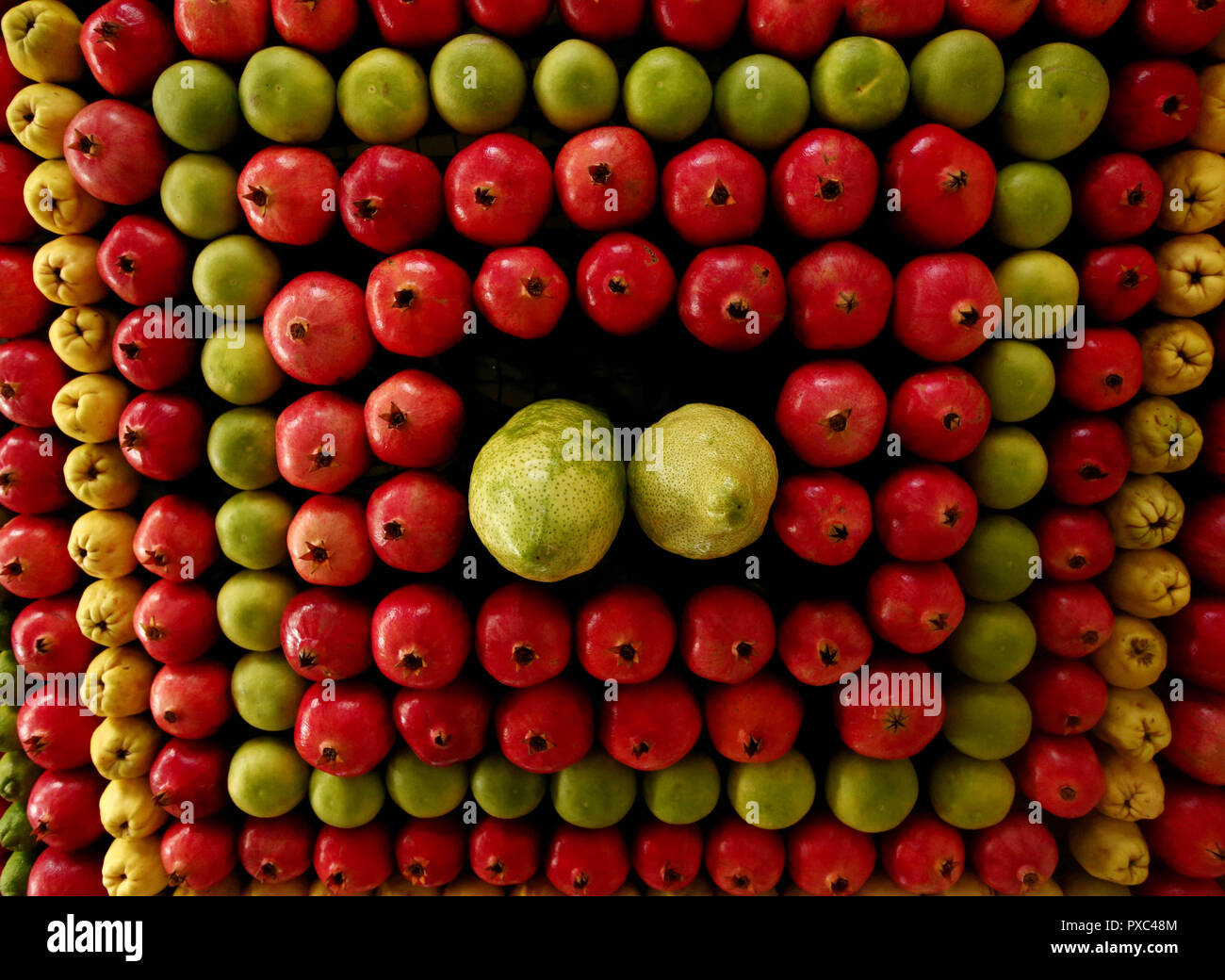 Sukkah desert hi-res stock photography and images - Alamy