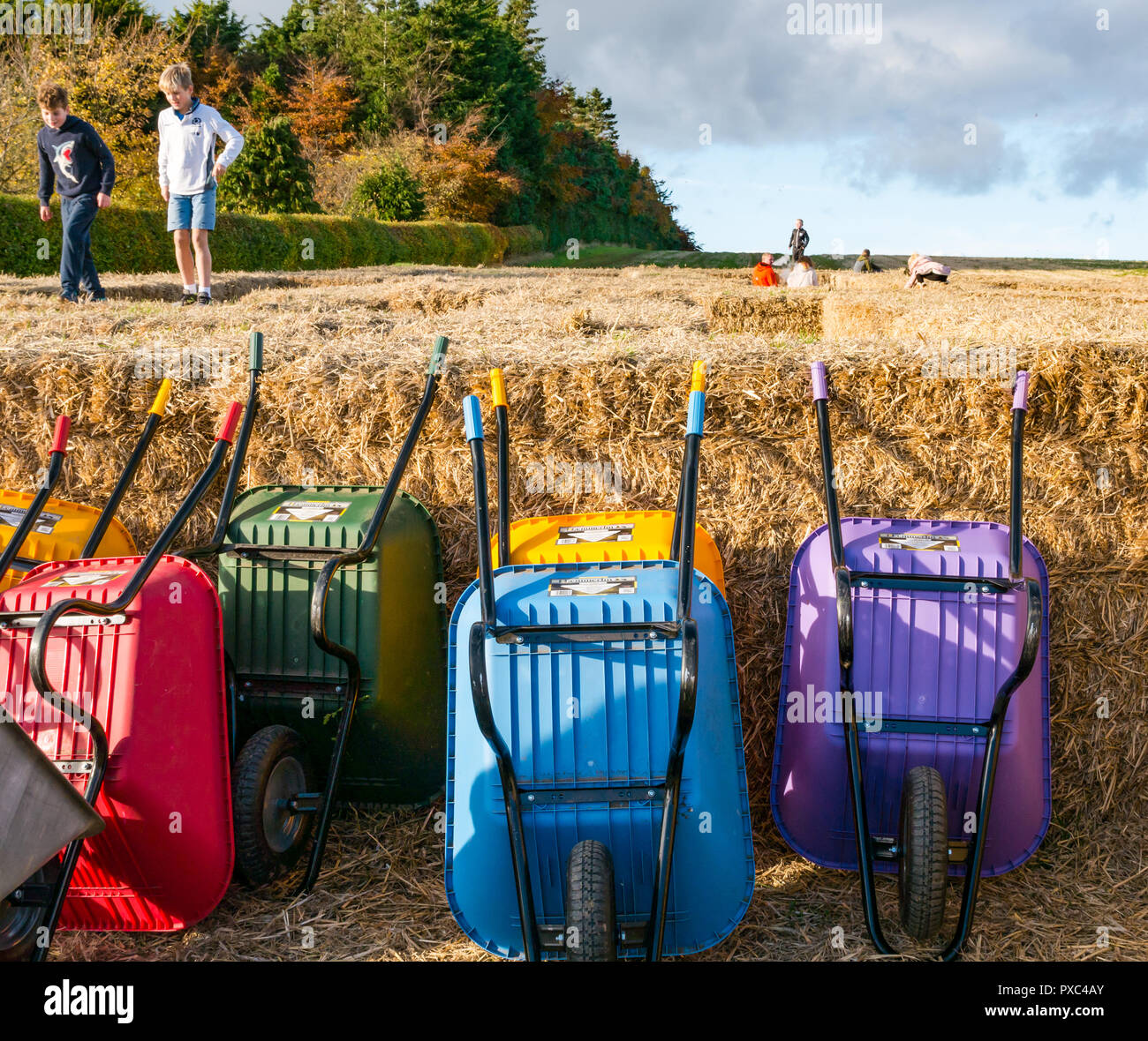 Kilduff Farm, East Lothian, Scotland, United Kingdom, 21st October 2018 ...