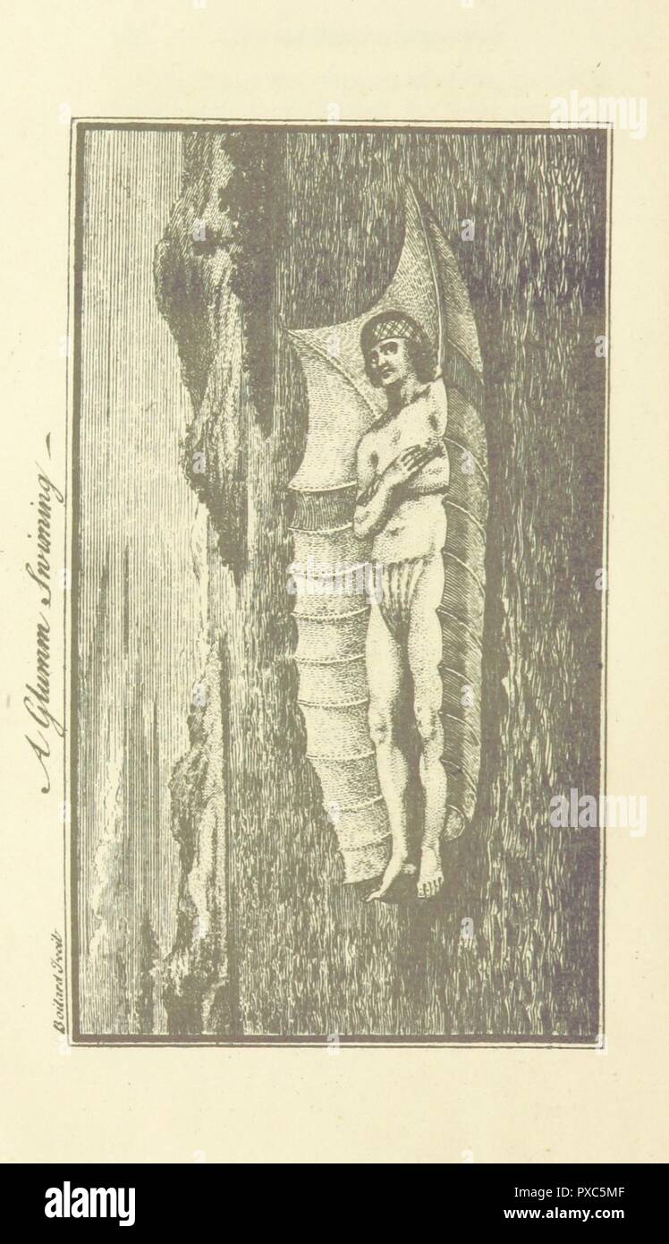 Paltock hi-res stock photography and images - Alamy