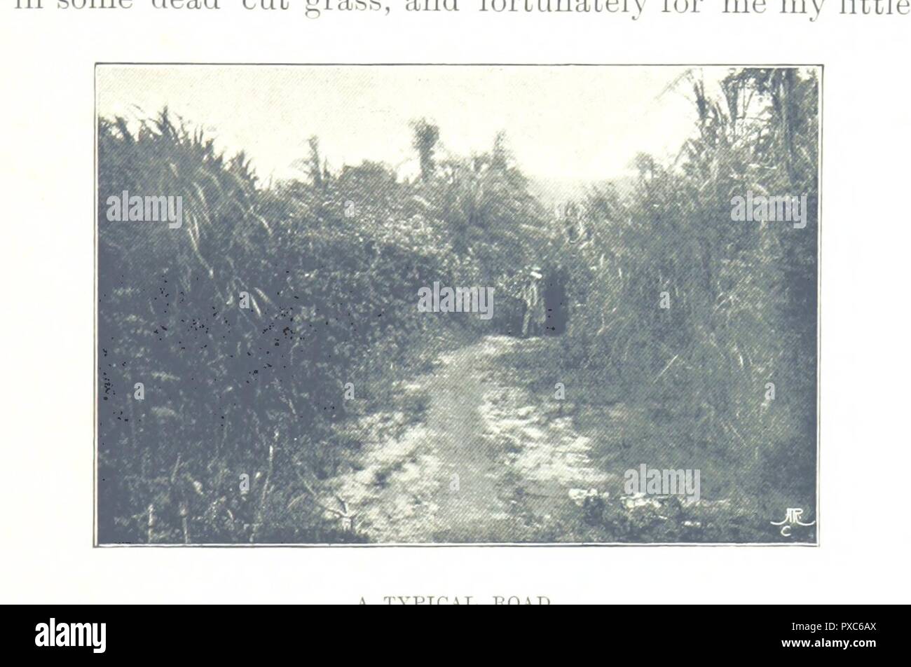 page 213 of 'In Dwarf Land and Cannibal Country. A record of travel and ...