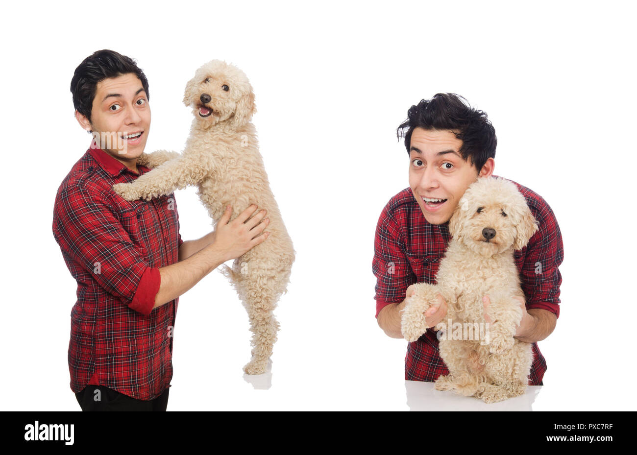 Funny animals montage hi-res stock photography and images - Alamy