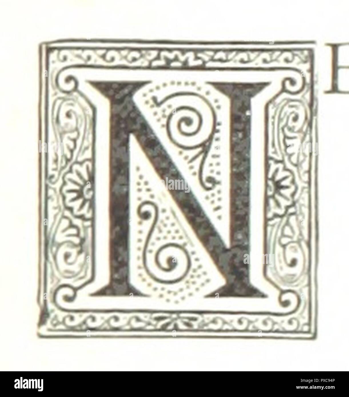 299 cavalry Cut Out Stock Images & Pictures - Alamy