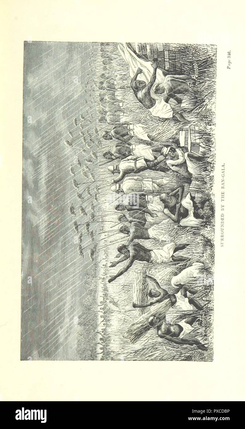 page 435 of 'From Benguella to the territory of Yacca. Description of a ...