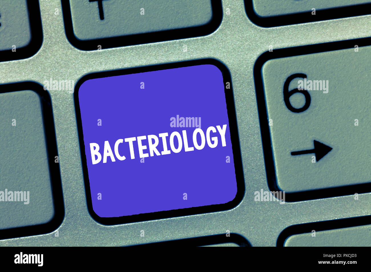 Word writing text Bacteriology. Business concept for Branch of ...